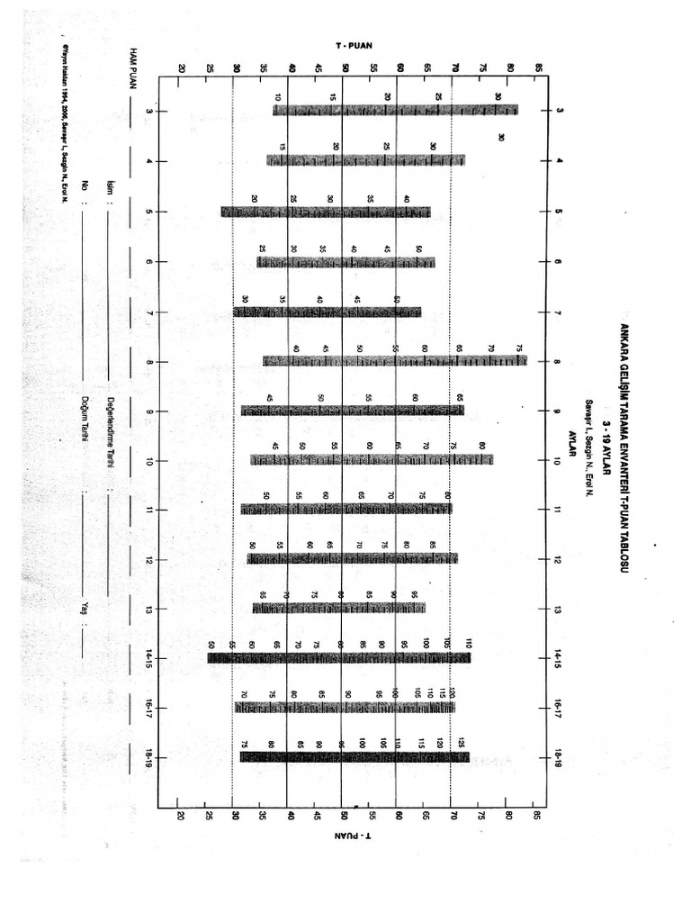 4-AGTE T Skor Tabloları | PDF