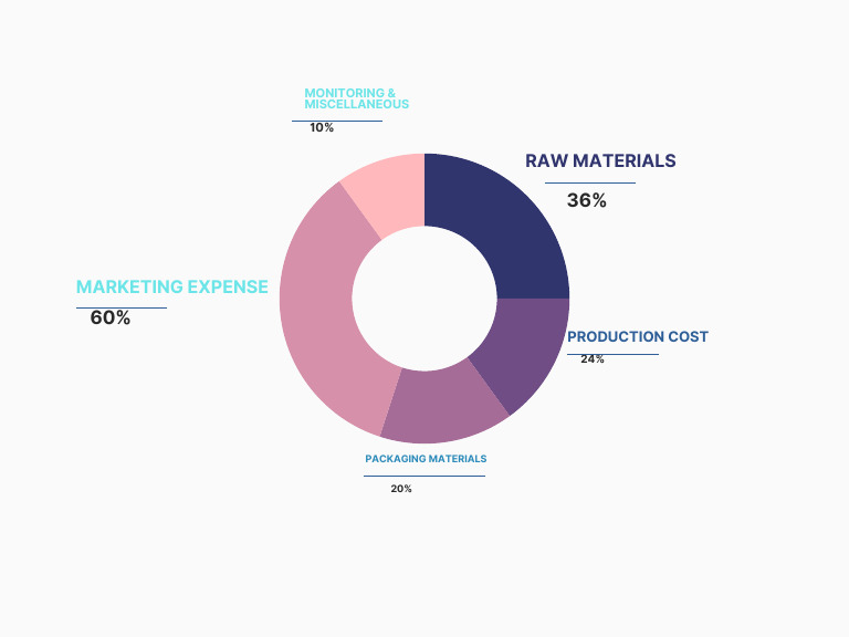 Blue Modern Minimalist Budget Planning Graph Chart_20241219_175213_0000 ...