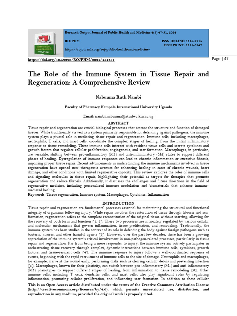 Immune System's Role in Tissue Repair | PDF | Macrophage | Wound Healing