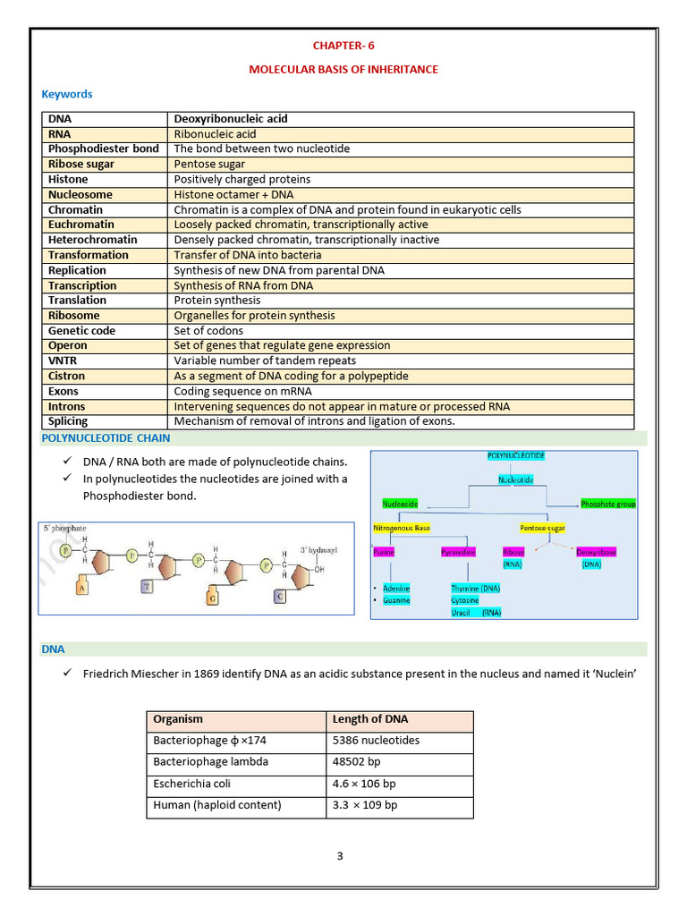 Mbi B | PDF | Rna | Translation (Biology)