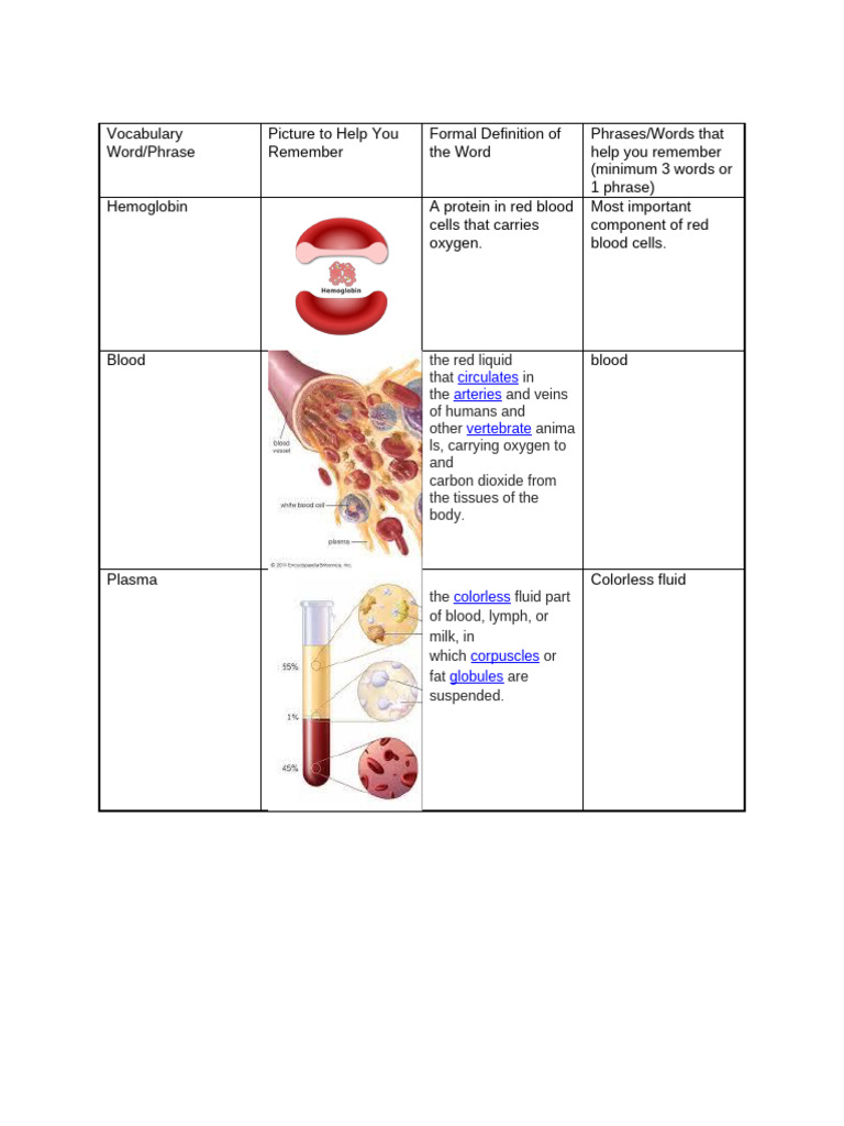 Bloodstain Graphic Organizer | PDF | Blood | Blood Cell