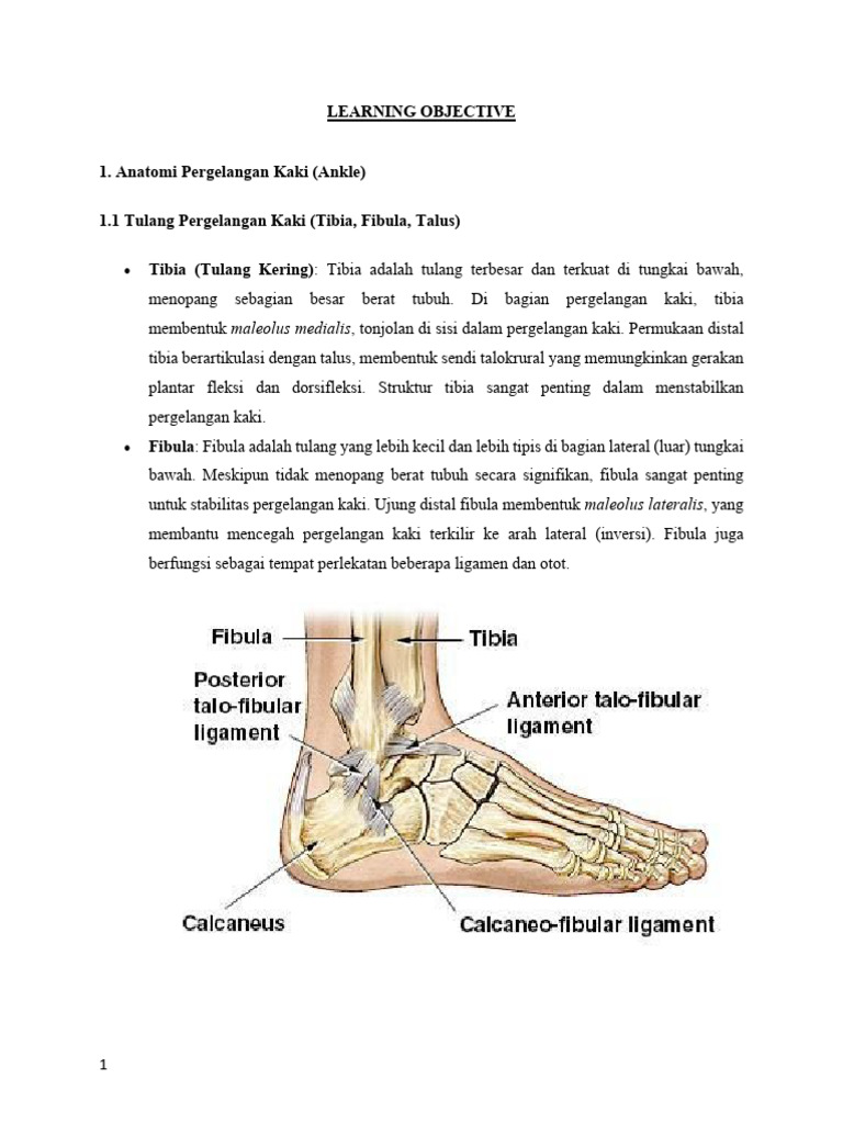 Sprain | PDF