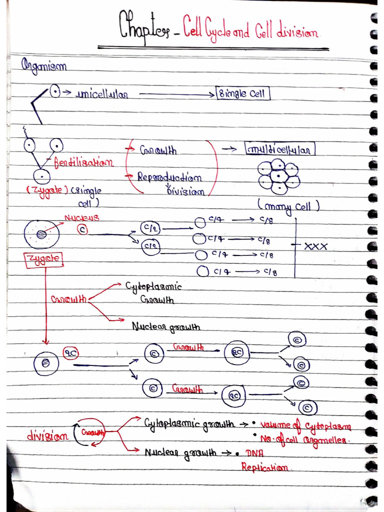Cell Cycle and Cell Division Complete Notes@sunil - Sir - Bio | PDF