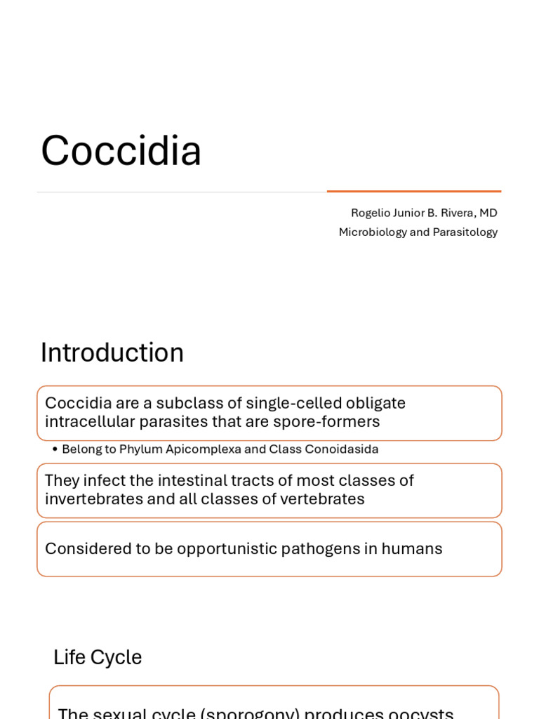 Coccidia | PDF | Microbiology | Medical Specialties