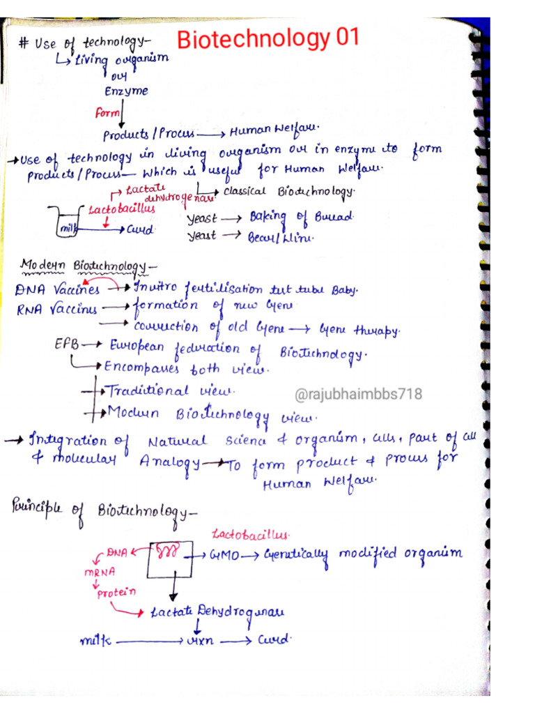 Biotechnology Principal and Processes | PDF