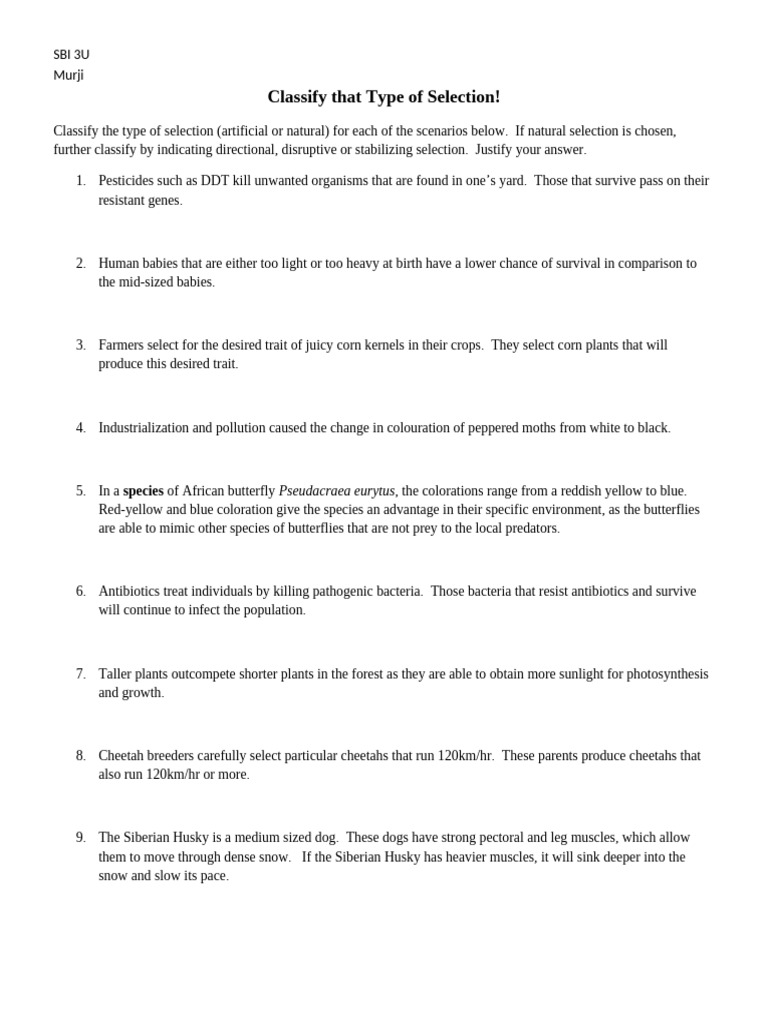 Classify that Type of Selection_updated | PDF