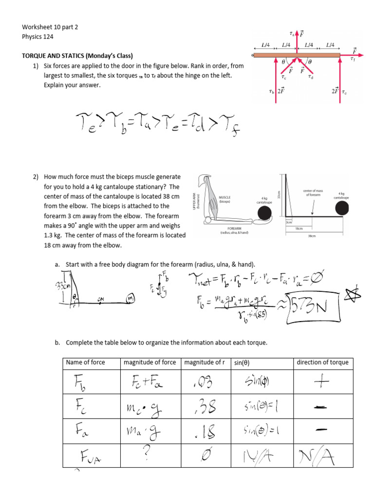 124 Worksheet 10 Cont - d-2 | PDF | Force | Elbow