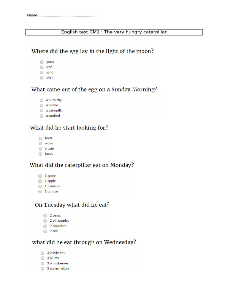 Test The Very Hungry Caterpillar | PDF