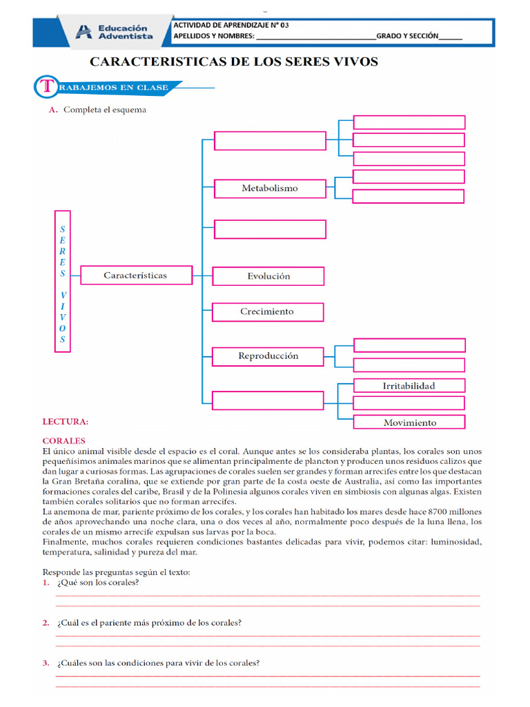 Sesion #03 Caracteristicas de Los Seres Vivos (Ficha) | PDF