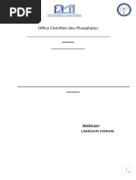 Organigramme Et Filiales de OCP | PDF