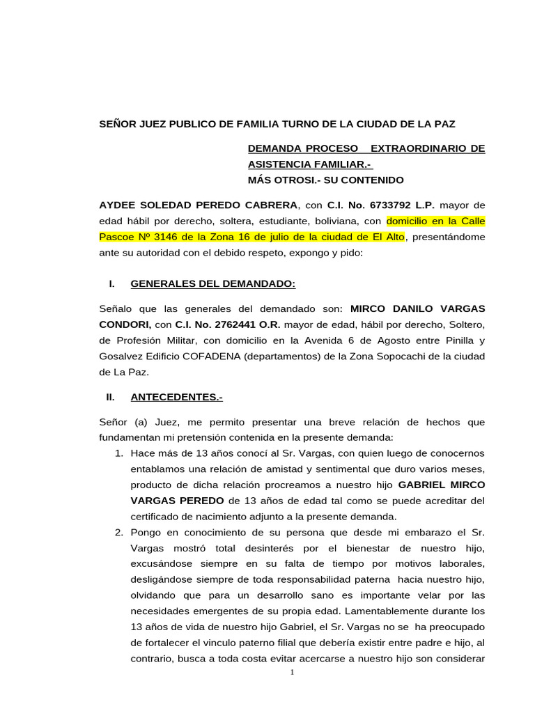 Demanda de Asistencia Familiar Aydee Soledad | PDF