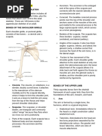 Answers Lab8 9 AppendicularSkeleton | PDF | Pelvis | Hip