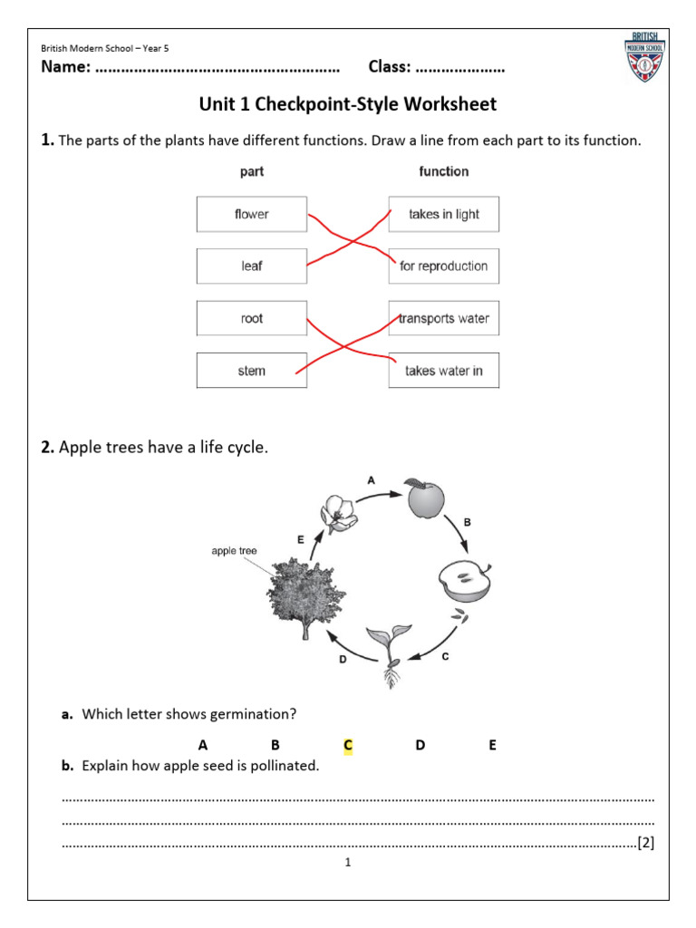 Unit 1 Checkpoint - Model Answer | PDF | Flowers | Pollination