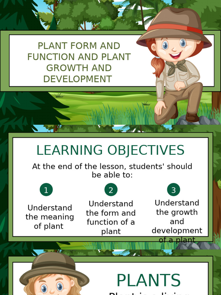 Plant Form, Function, and Growth Insights | PDF | Plants | Plant Stem