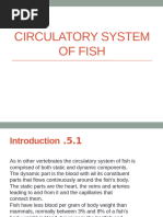 Fish Heart Structure and Function | PDF | Circulatory System | Heart