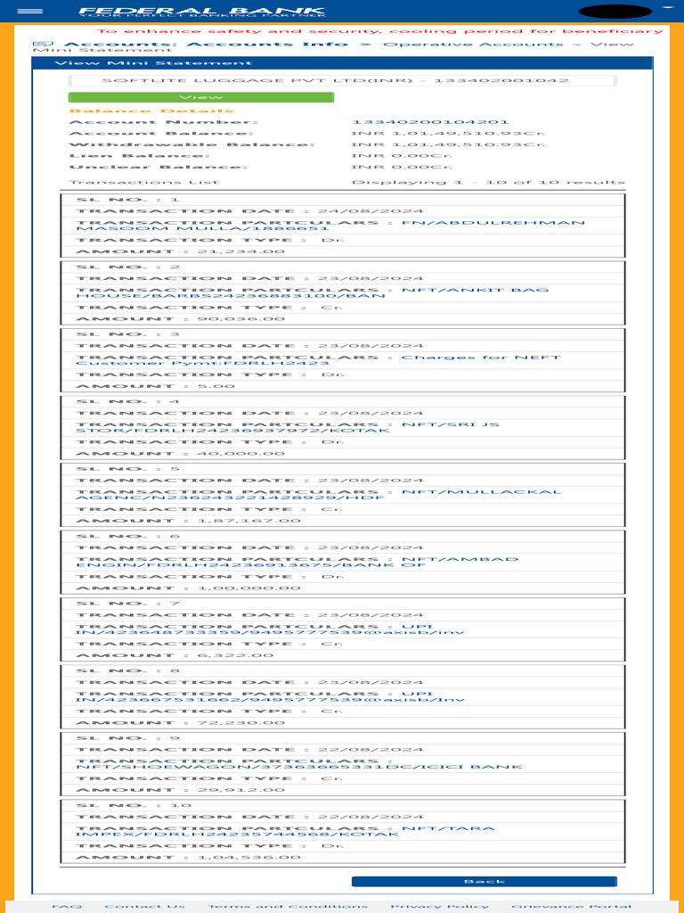 FedNet View Mini Statement 2 | PDF | Financial Services