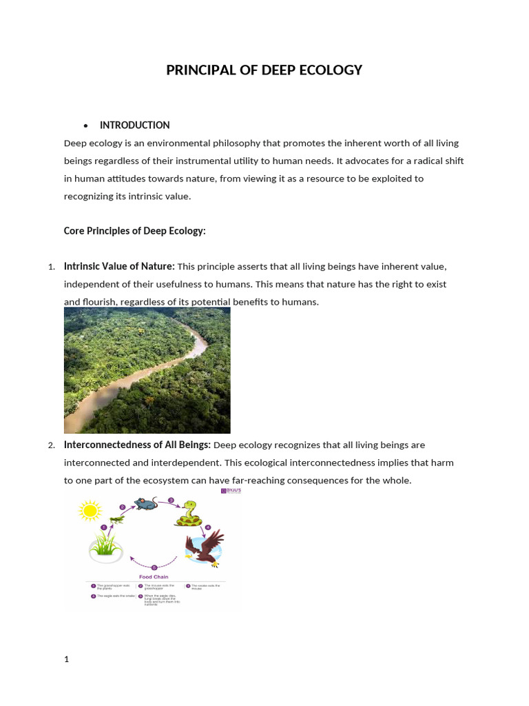 Principal of Deep Ecology | PDF | Sustainability | Sustainable Business