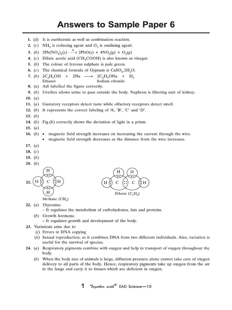 Cbse cl10 Ead Science Answers To Sample Paper 6 2025 | PDF