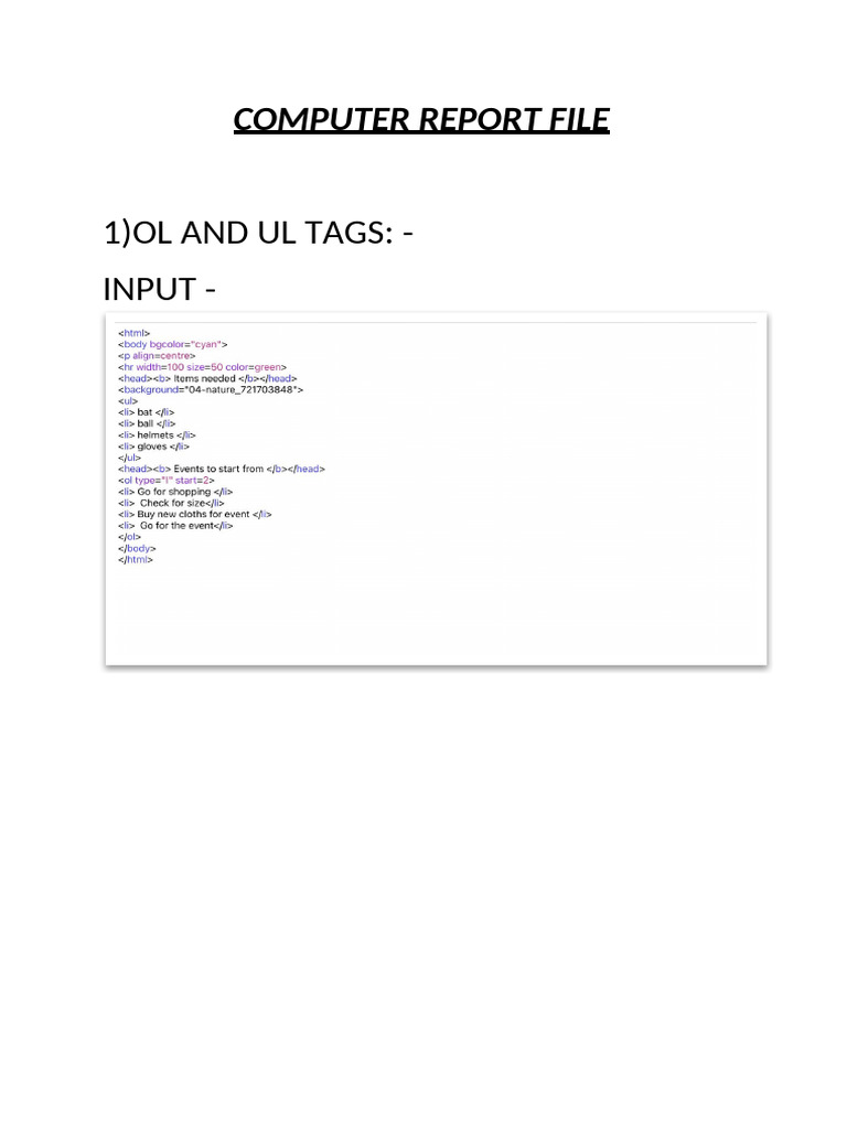 COMPUTER REPORT FILE | PDF