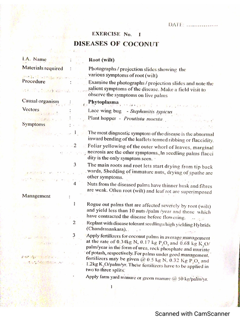 Diseases of Coconut | PDF