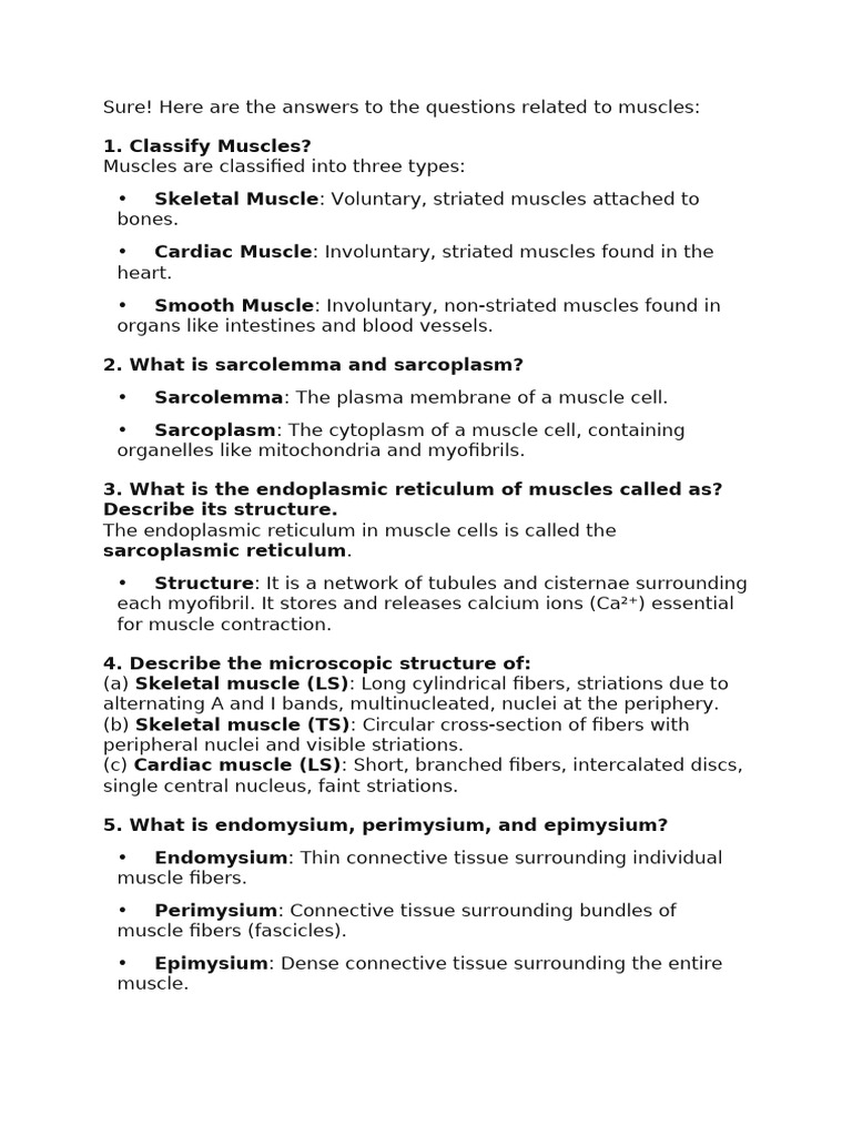 Muscles | PDF | Skeletal Muscle | Muscle Contraction