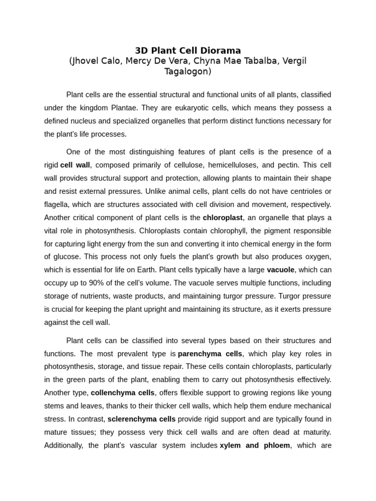 3D Plant Cell Diorama (Jhovel Calo, Mercy de Vera, Chyna Mae Tabalba ...
