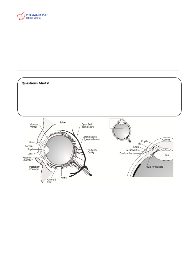 10 Chapter The Eye and Ear Docpdf | PDF | Glaucoma | Retina