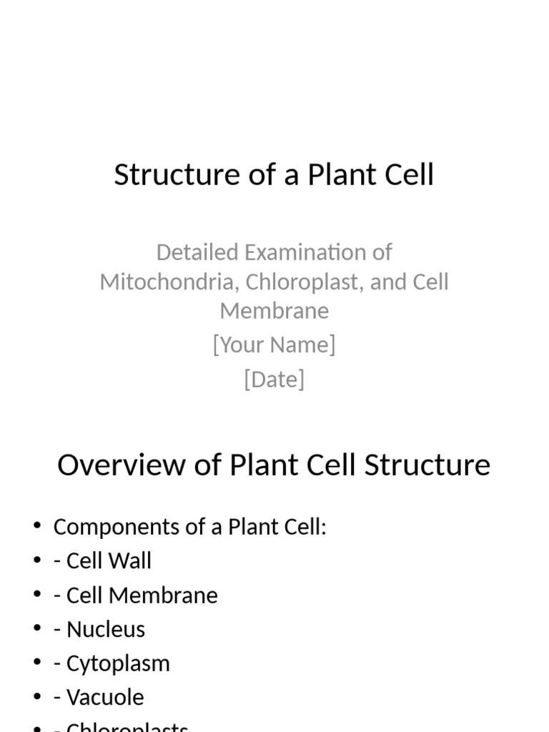 Plant Cell Structure & Organelles | PDF