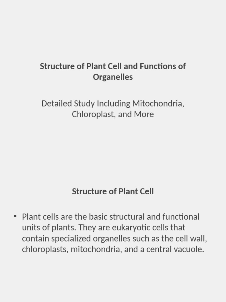 Plant Cell Structure & Organelles Guide | PDF