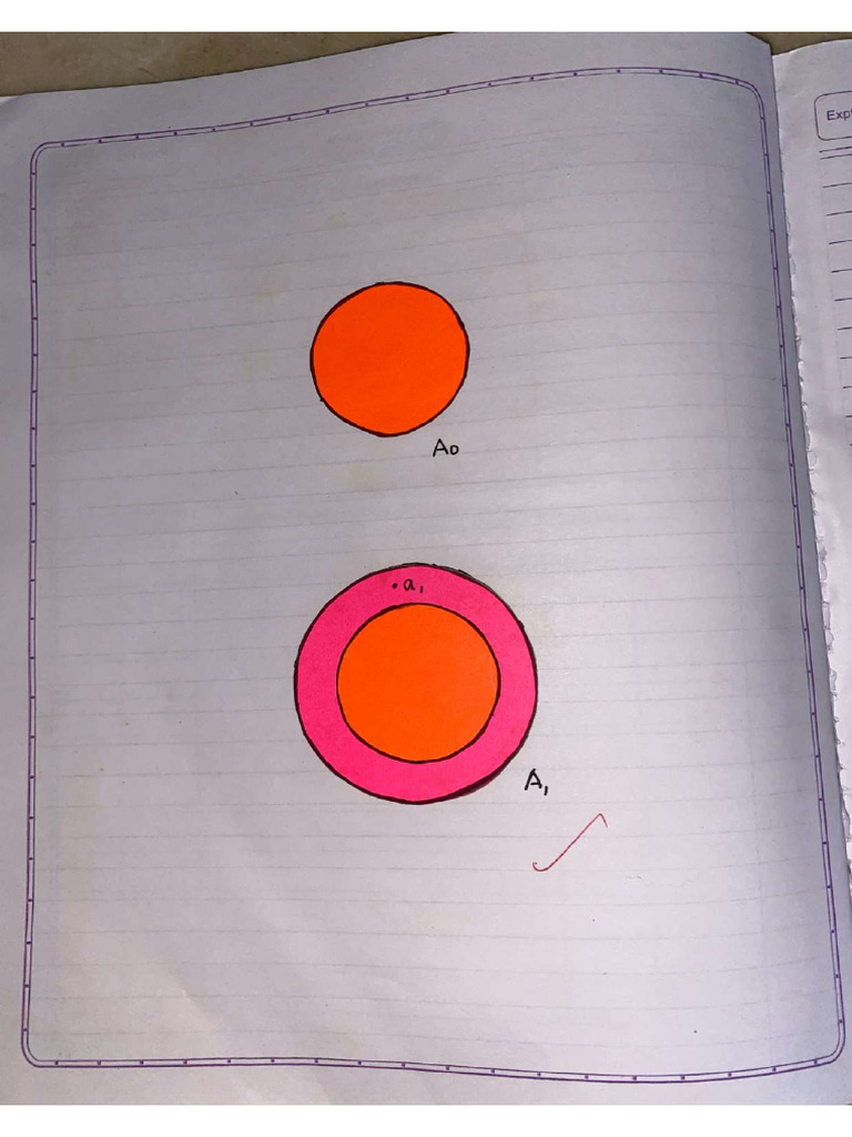 Maths Record (First 5 Expt) - Compressed | PDF