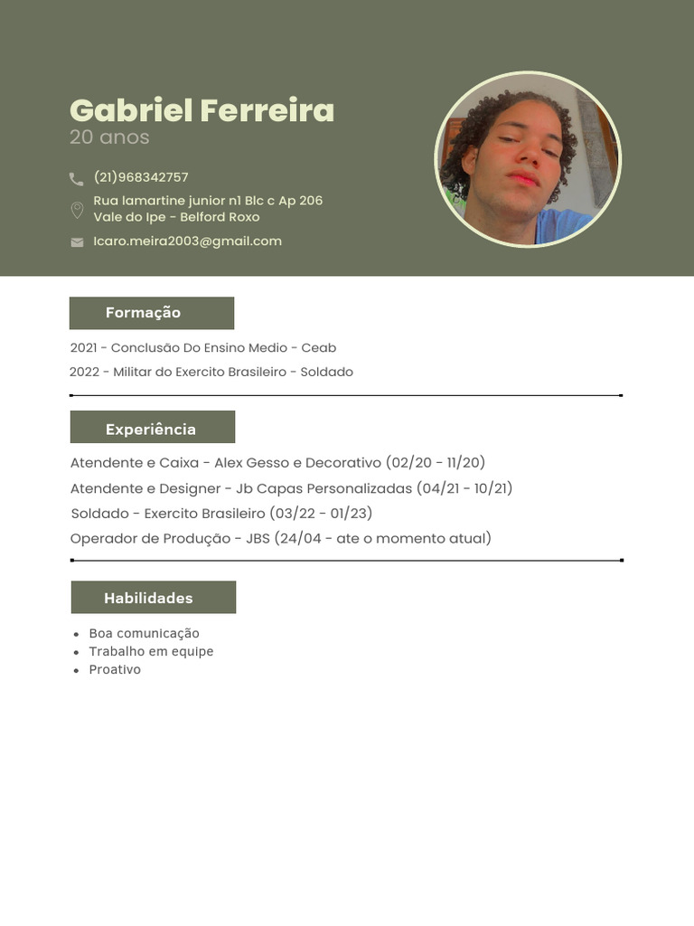 Curriculo Gabriel | PDF