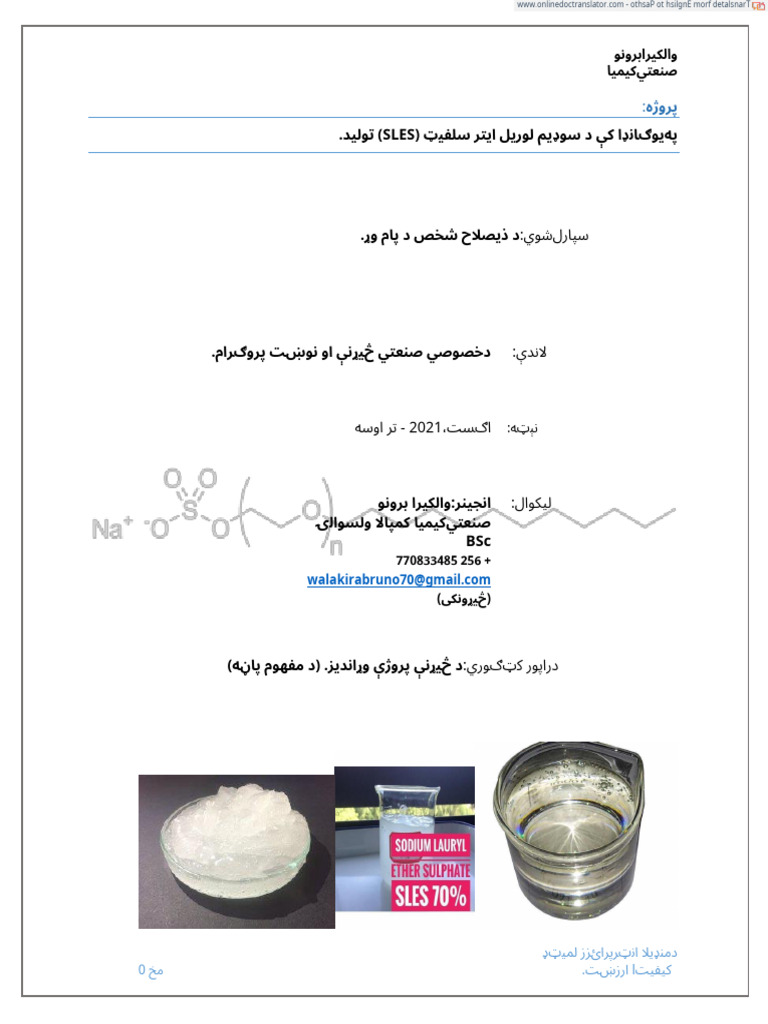 Researchproject Sles - En.ps | PDF | Organic Reactions | Chemical Reactions
