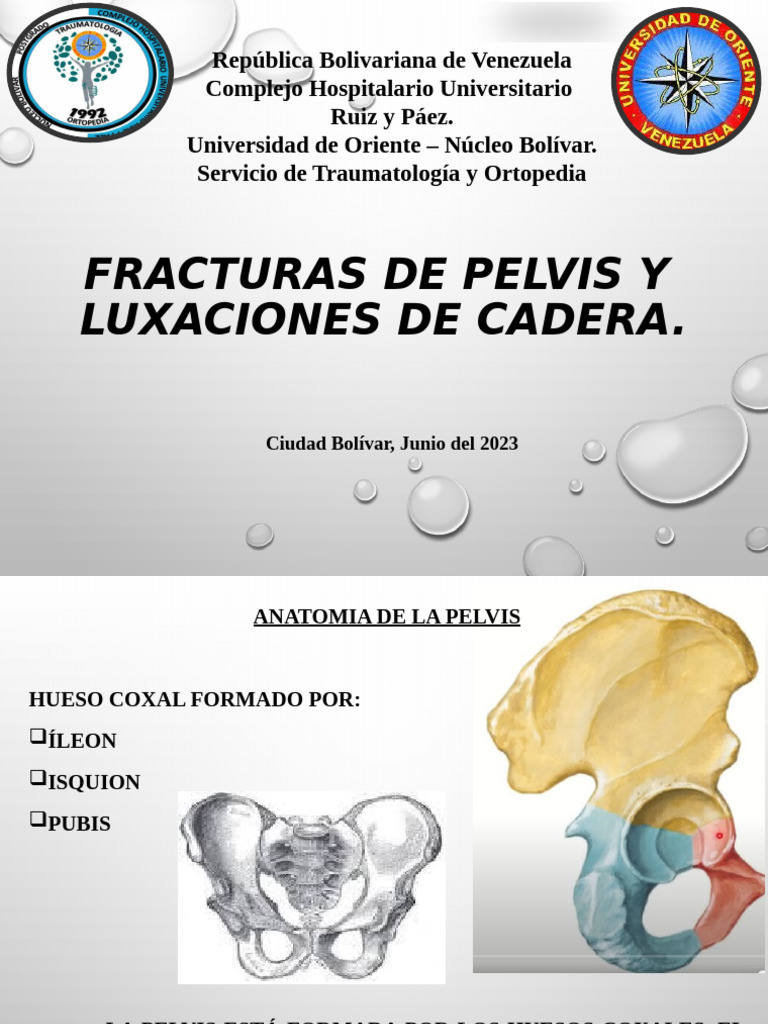 Fractura De Pelvis y Luxaciones | PDF | Pelvis | Sistema musculoesquelético