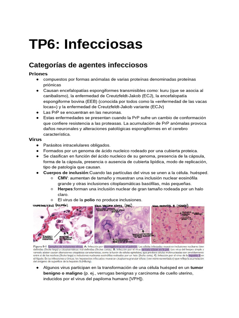 TP6 Infecciosas | PDF | Virus | Mycobacterium
