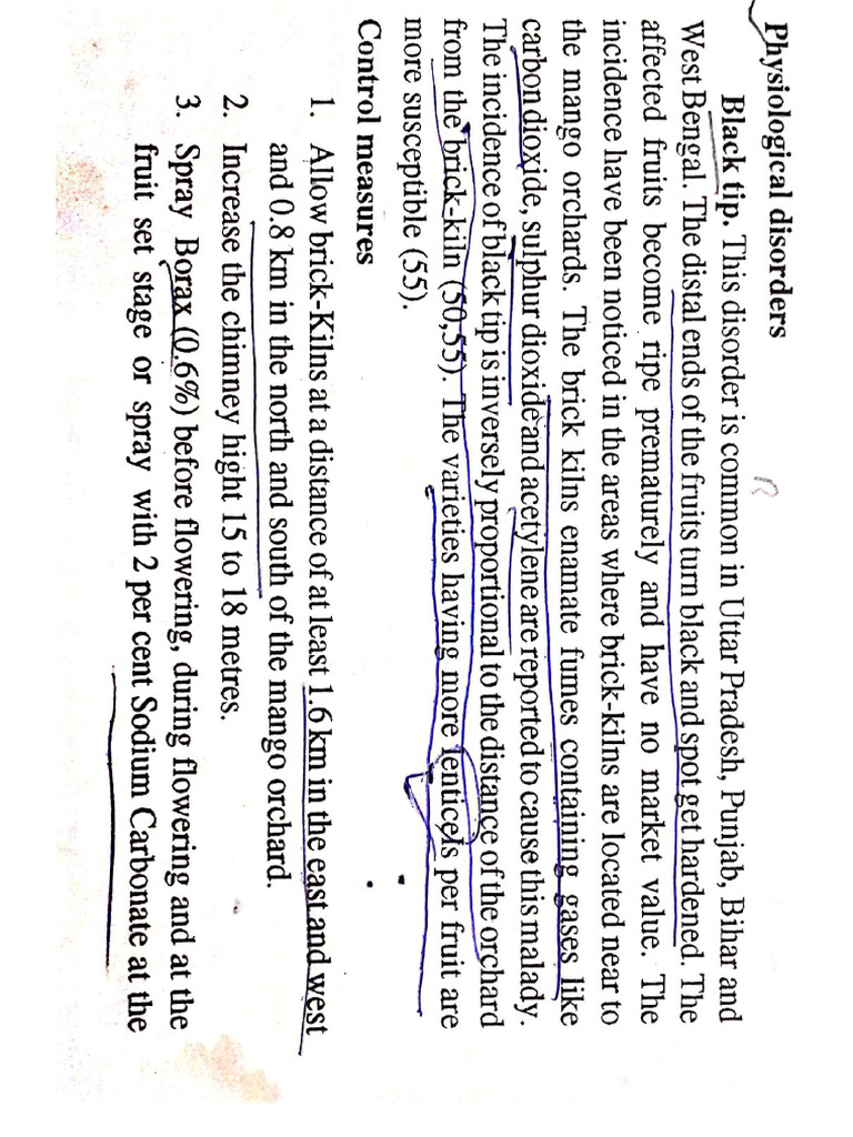 Important Mango Note | PDF