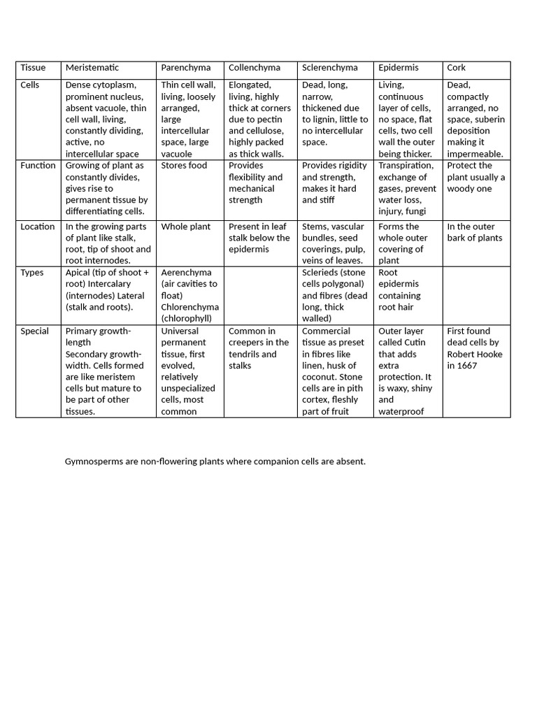 Tissue table | PDF | Tissue (Biology) | Plant Stem