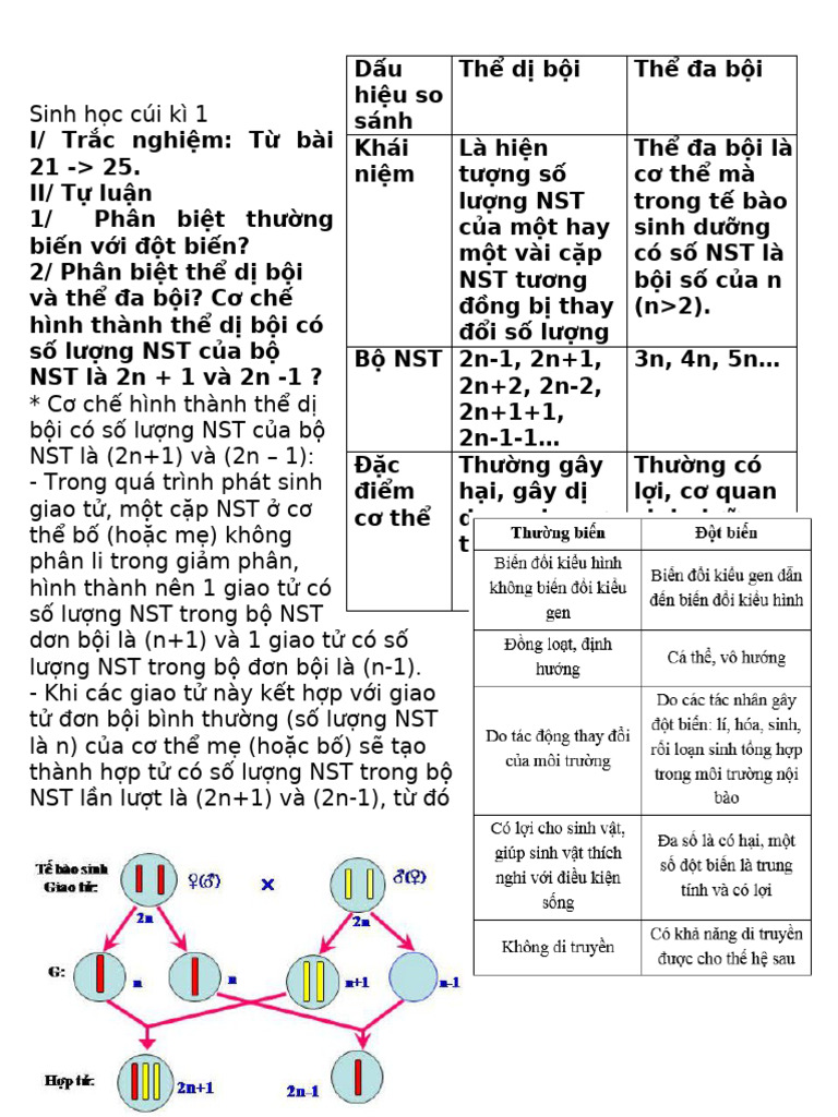 Sinh | PDF