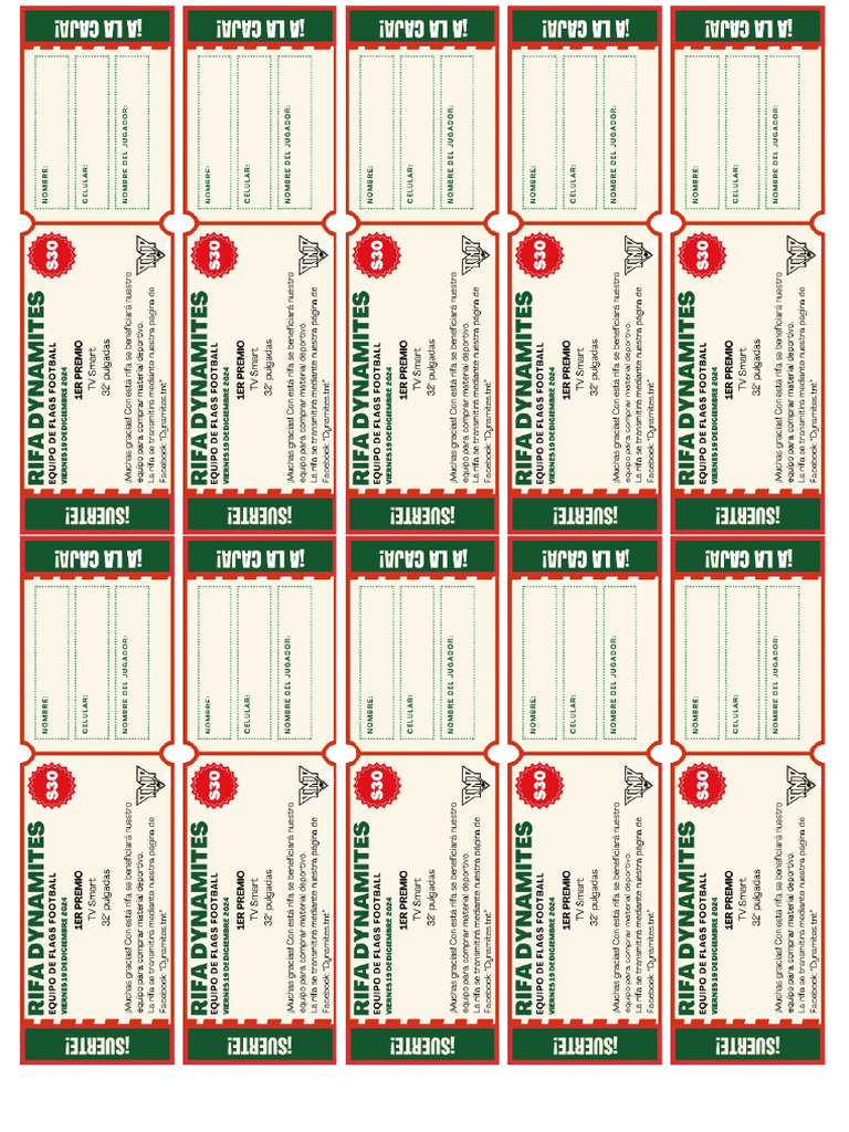 RIFA DIC 2024 11 | PDF