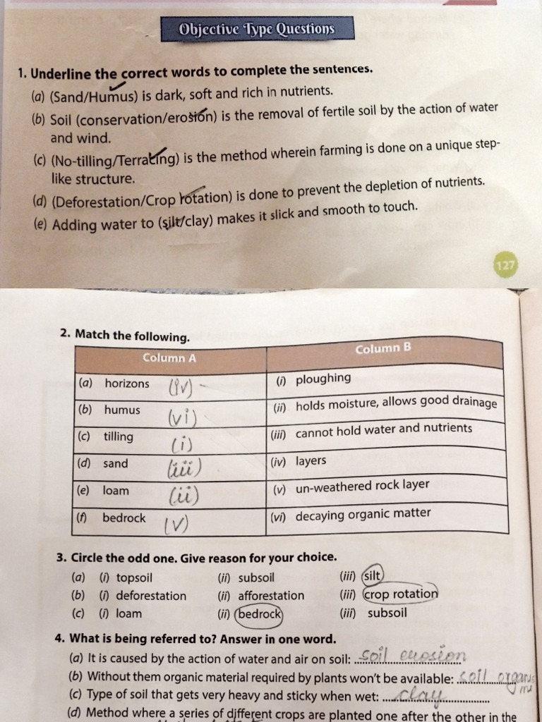 Soil Concepts for Class 4 Students | PDF | Soil | Botany