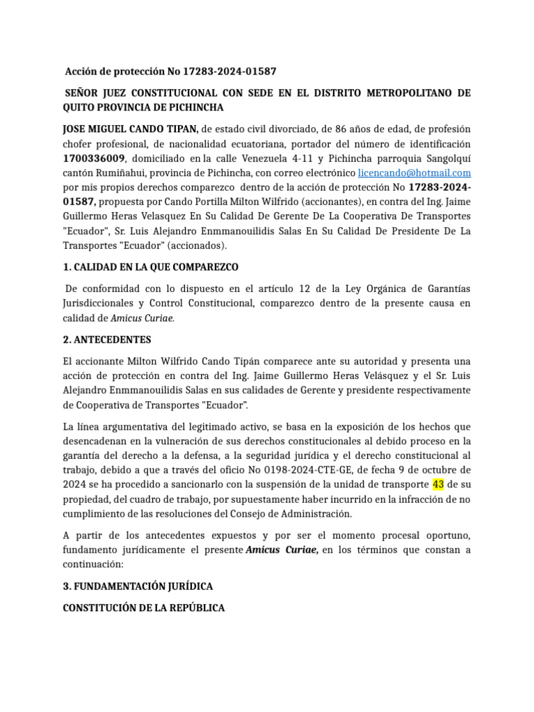 Amicus Curiae en Acción de Protección 17283 | PDF | Debido al proceso ...