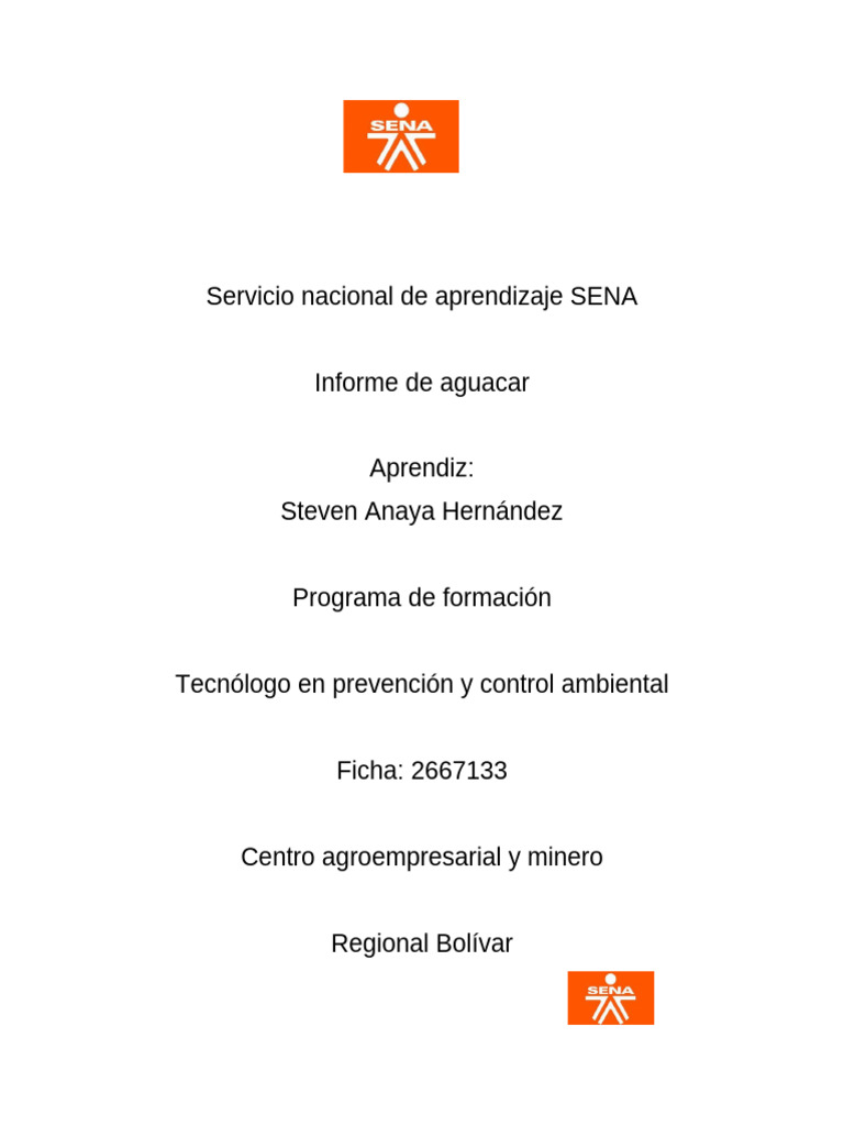 Informe de Steven | PDF