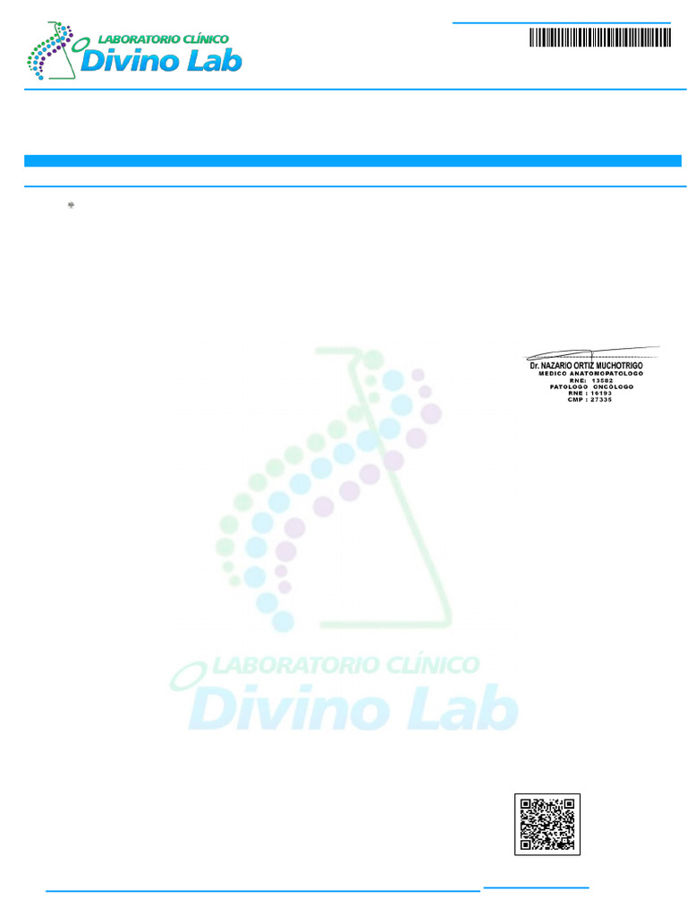 Resultado Elizabeth Cristobal Bendezu | PDF | Causas de la muerte ...