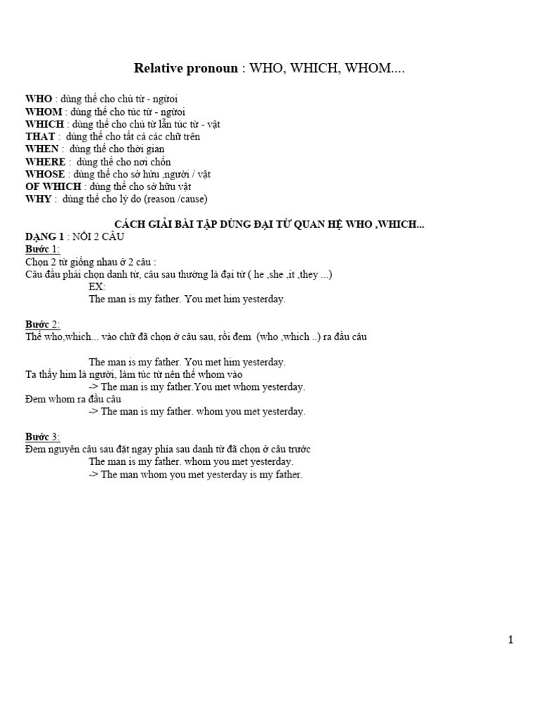 Grammar - Unit 8 - Relative Pronoun | PDF