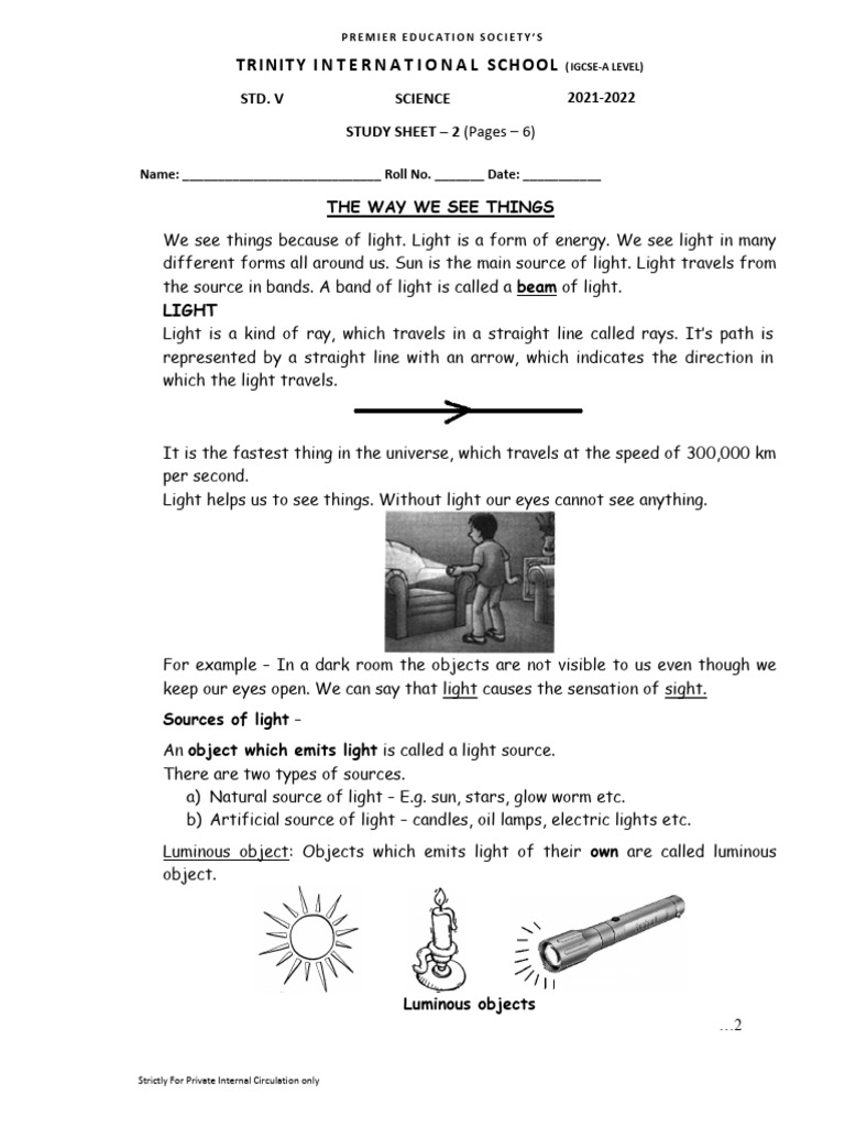 Understanding Light and Reflection | PDF | Mirror | Reflection (Physics)