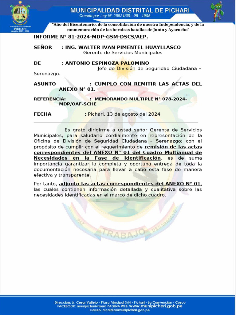 Informe #81 - 2024 | PDF