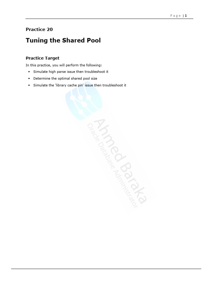Tuning Oracle Shared Pool Practices | PDF | Databases | Sql