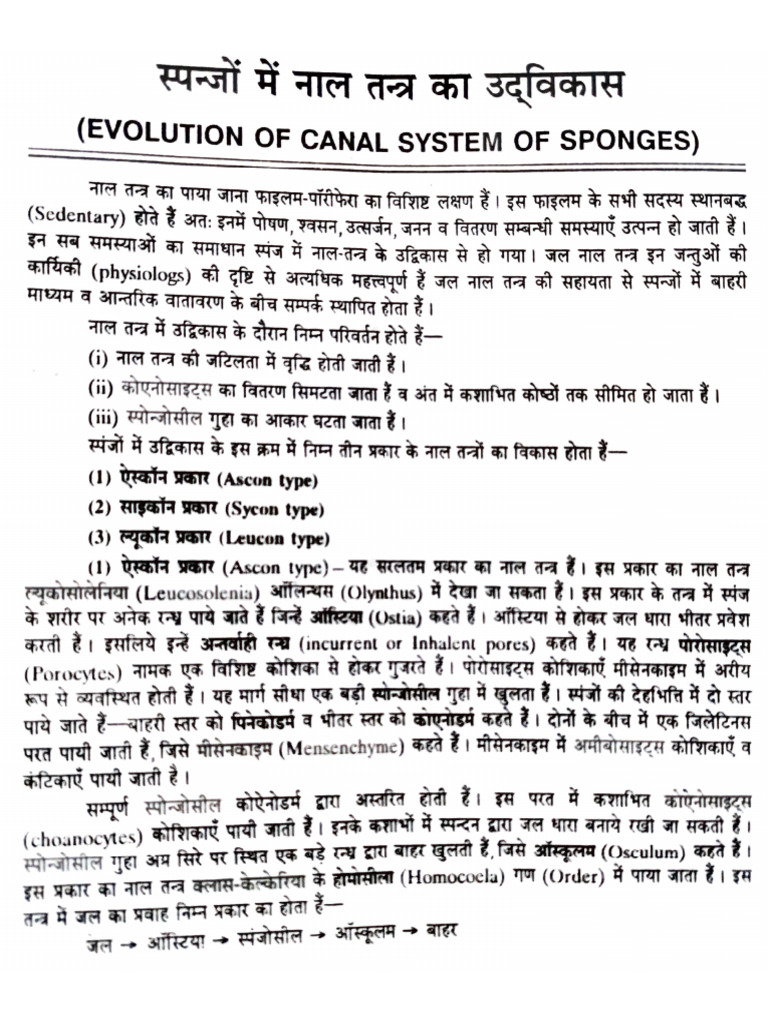Canal System in Sponges SBN NOTES | PDF | Aquatic Animals | Organisms