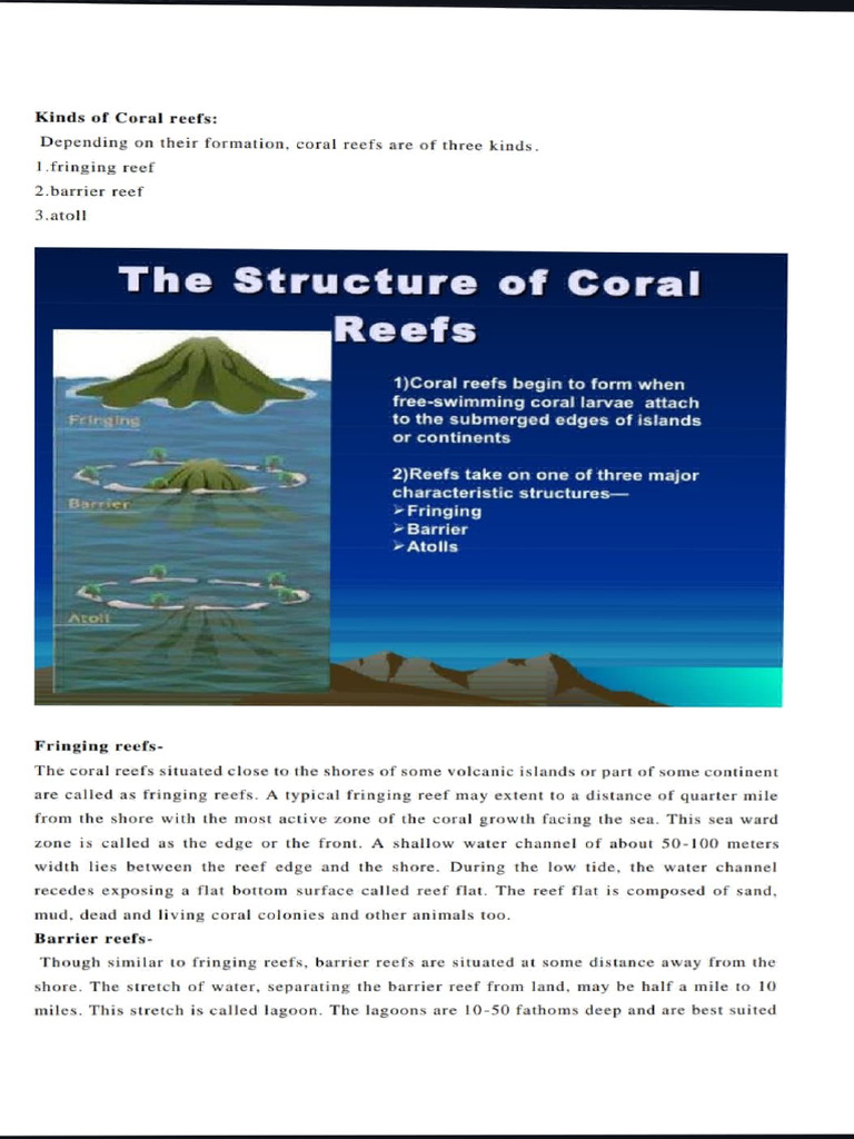 Coral Reef English SBN NOTES | PDF | Coral Reef | Reef
