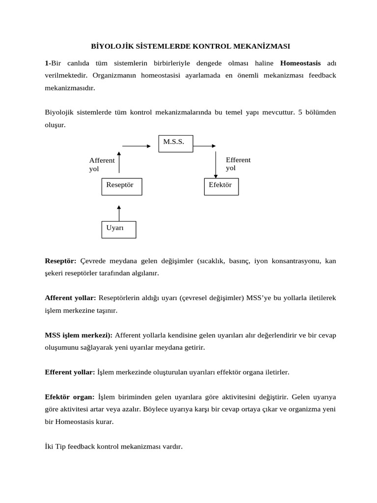 Fizyoloji Ders Notları | PDF