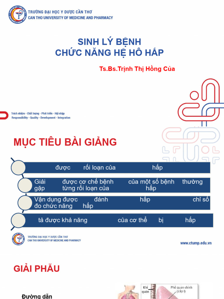 SLB CHUC NANG HE HO HAP-SV | PDF